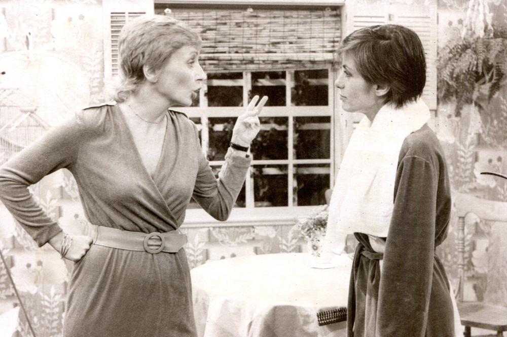 Féminin pluriel (1979-1980) - Série (Comédie)